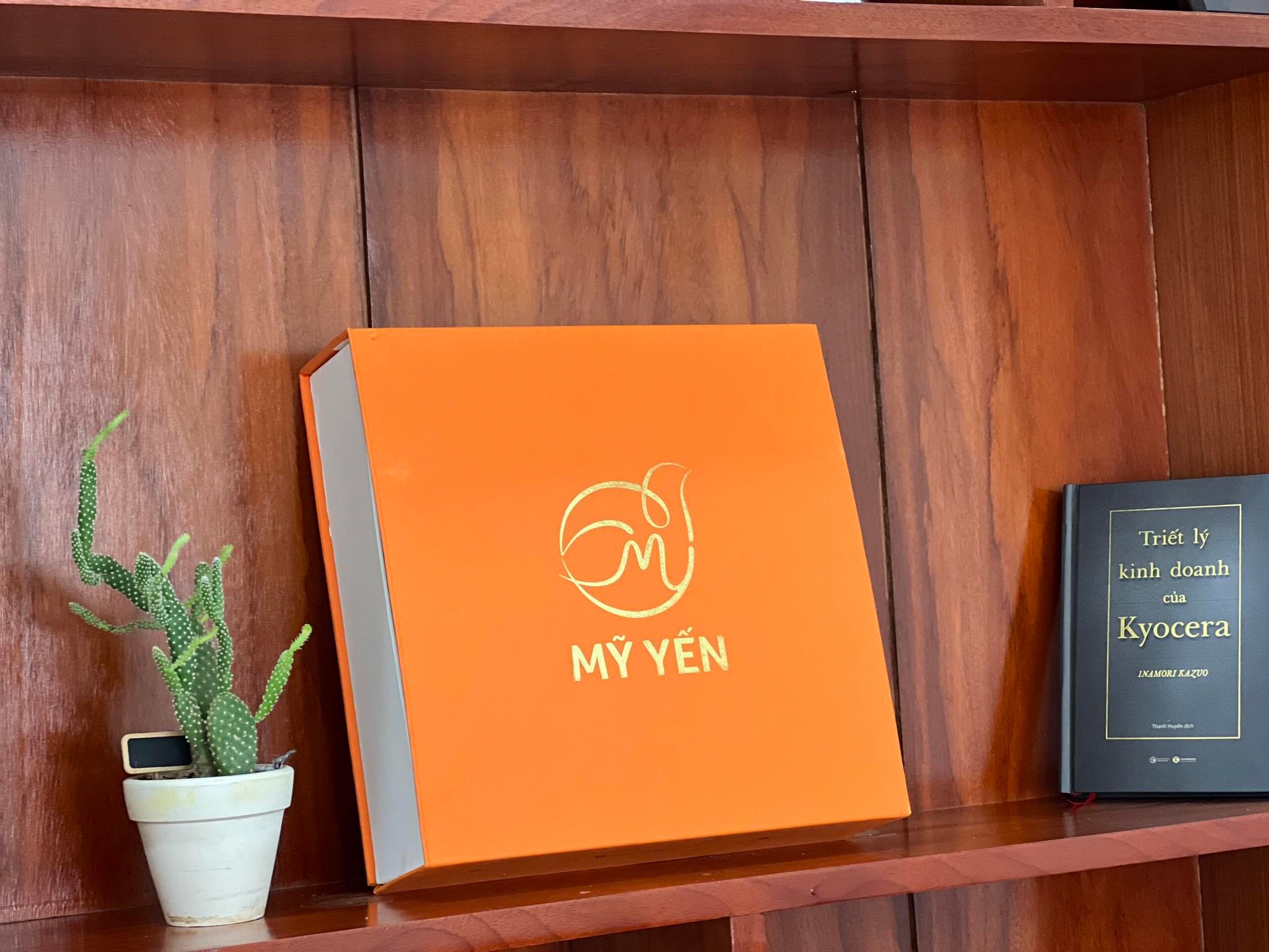 Giới thiệu – Mynest